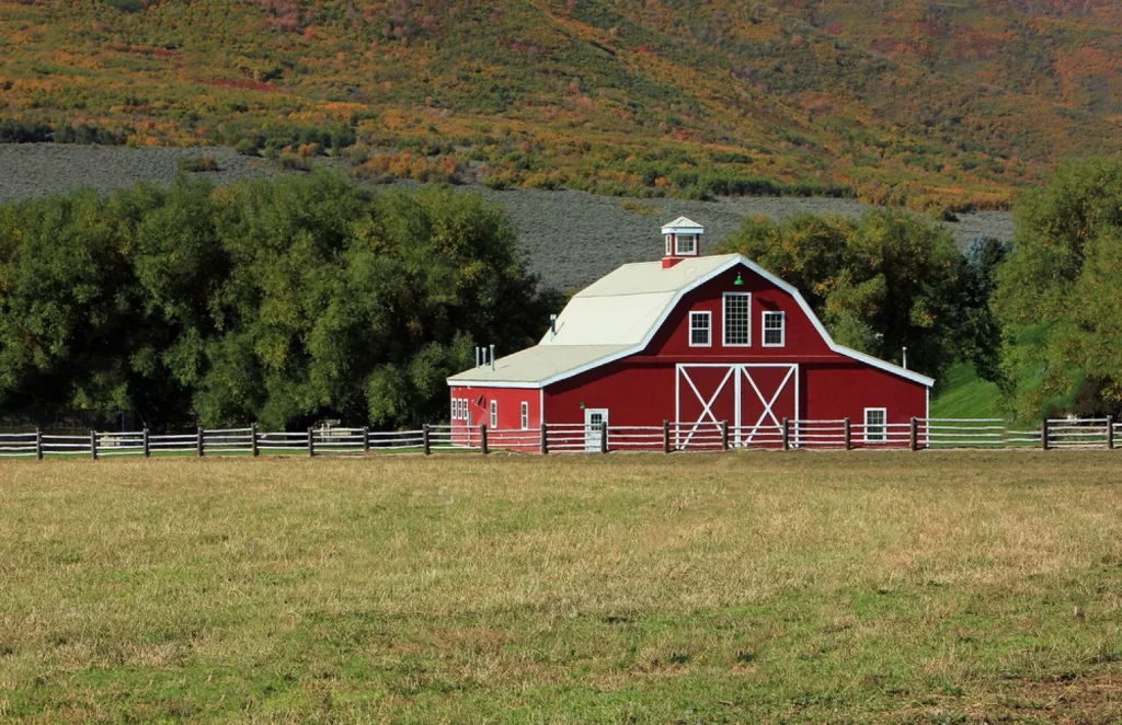 Shepherd Foods – Freeze dry processor